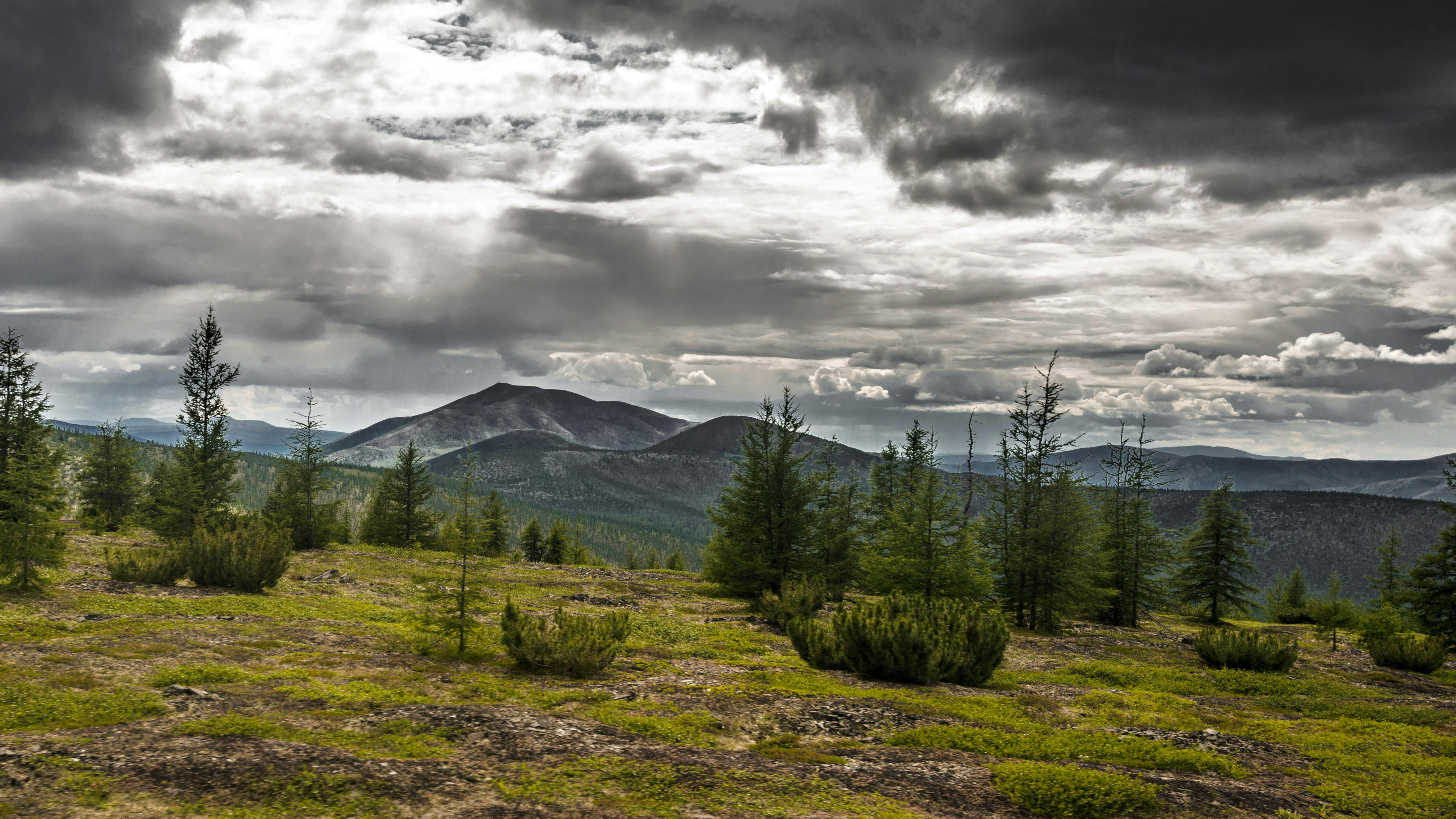 Chukchi Peninsula Tundra | One Earth